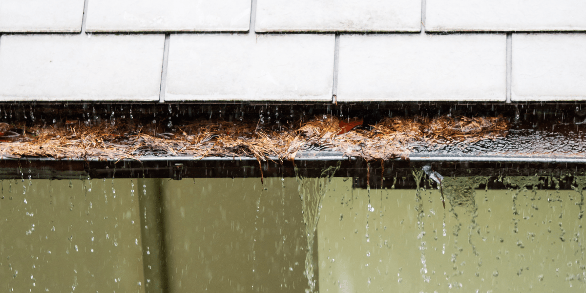 Why Are My Gutters Overflowing? | Royalty Roofing
