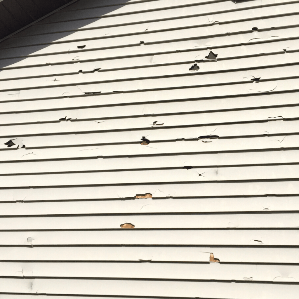 Identifying Hail Damage After A Storm | Royalty Roofing